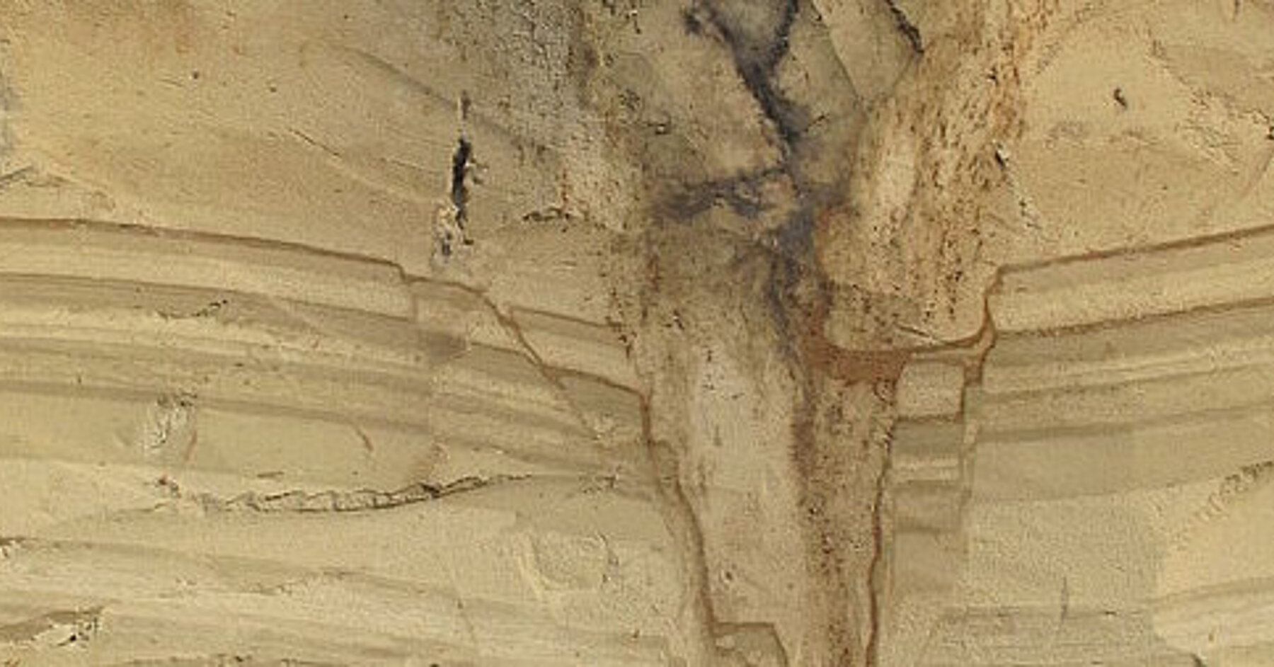 Sediment dating – Freiberg Instruments